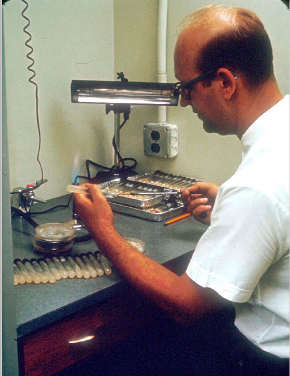 About Us – Shigo and Trees